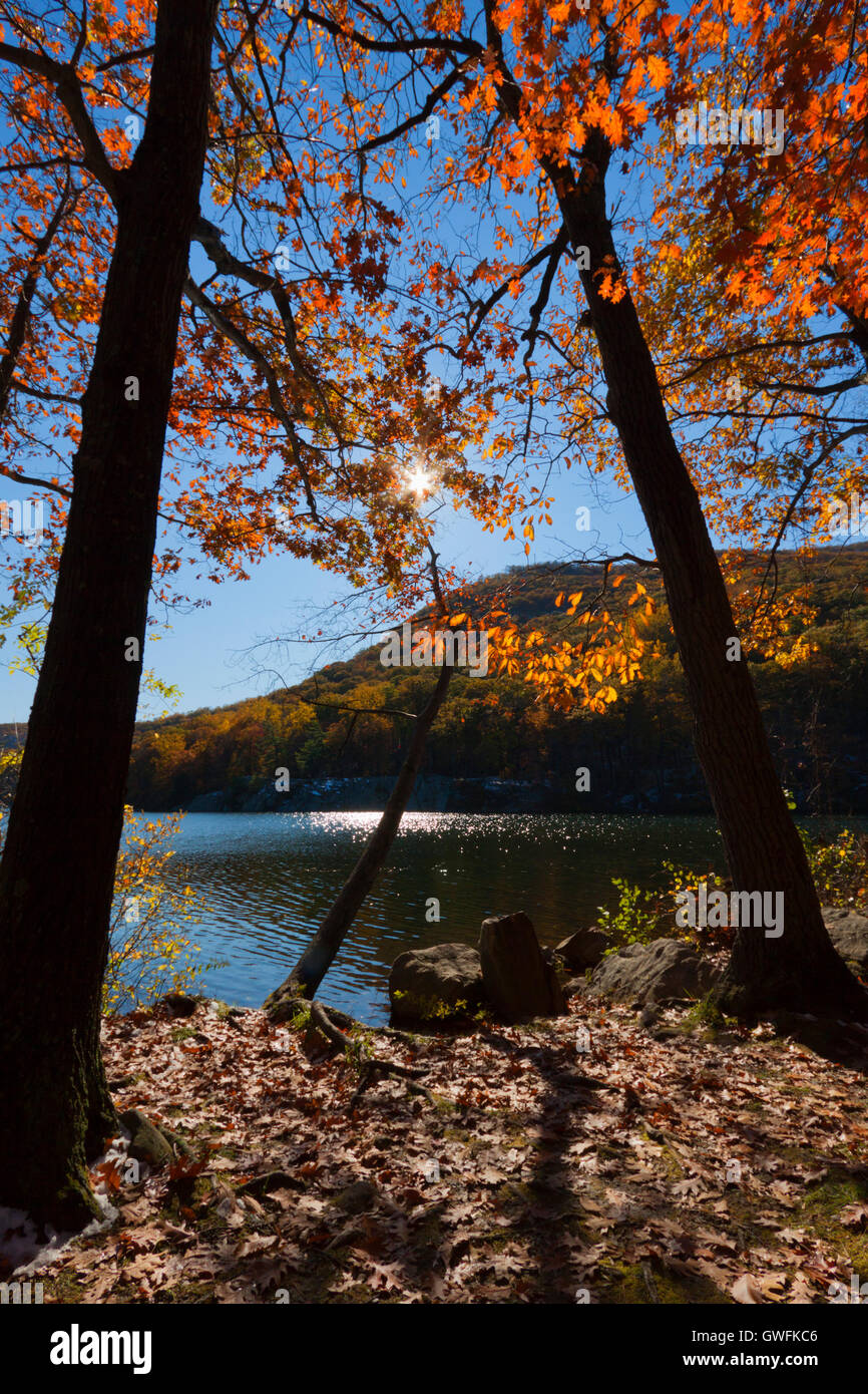Beautiful fall colors by the forest lake Stock Photo - Alamy