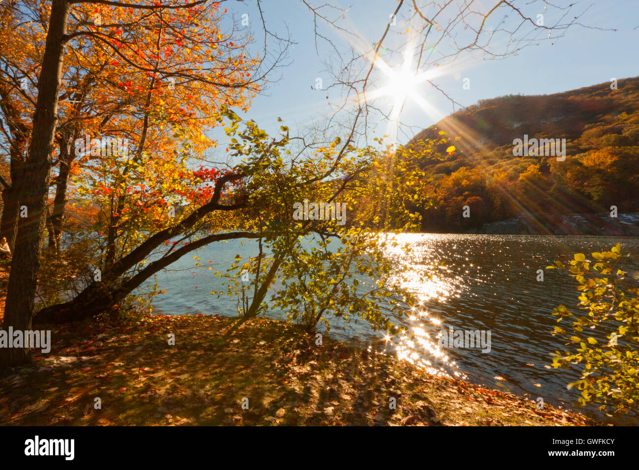 Beautiful fall colors by the forest lake Stock Photo - Alamy