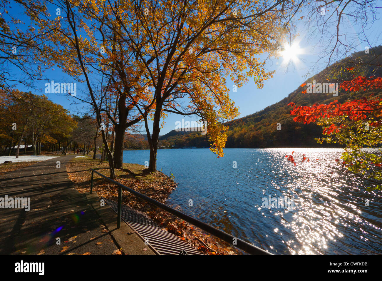 Beautiful fall colors by the forest lake Stock Photo - Alamy