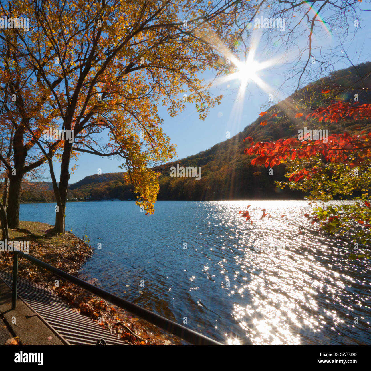 Beautiful fall colors by the forest lake Stock Photo - Alamy