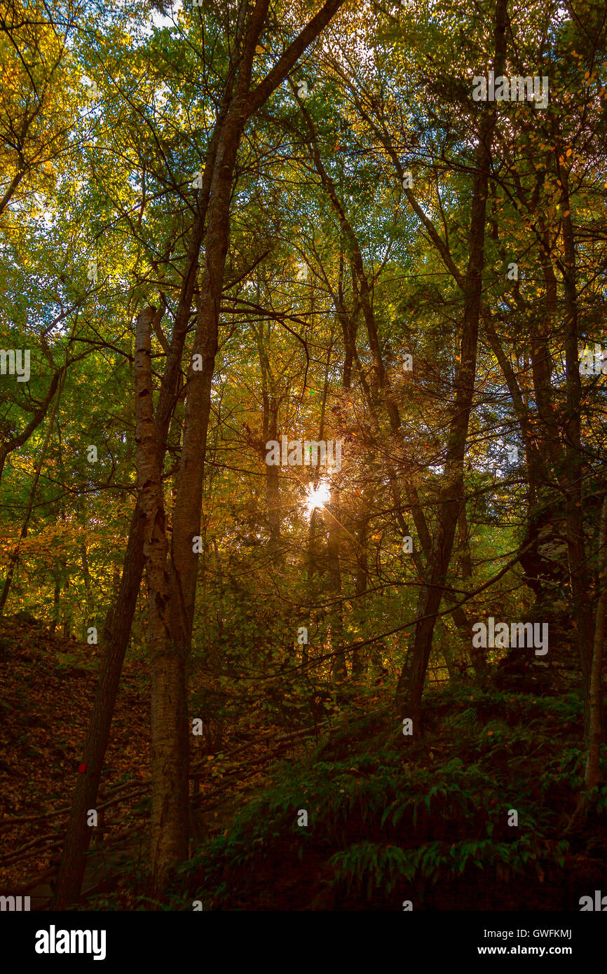 Colorful fall scenery landscapes Stock Photo - Alamy