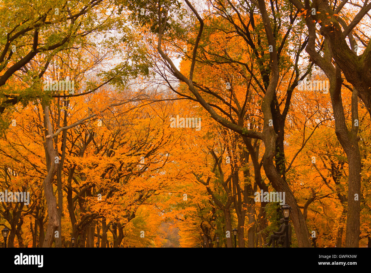 Colorful fall scenery landscapes Stock Photo - Alamy