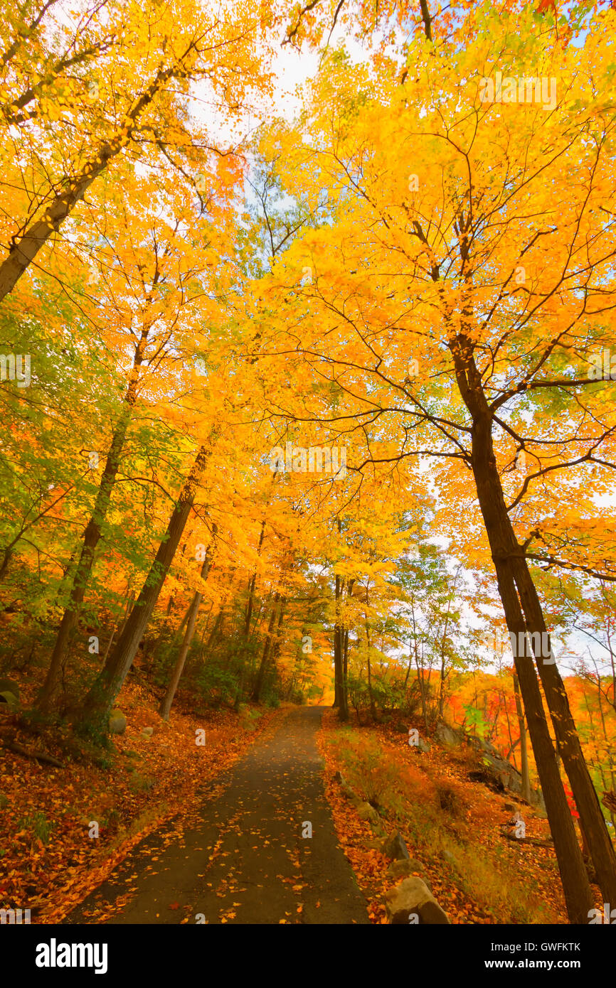 Colorful fall scenery landscapes Stock Photo - Alamy