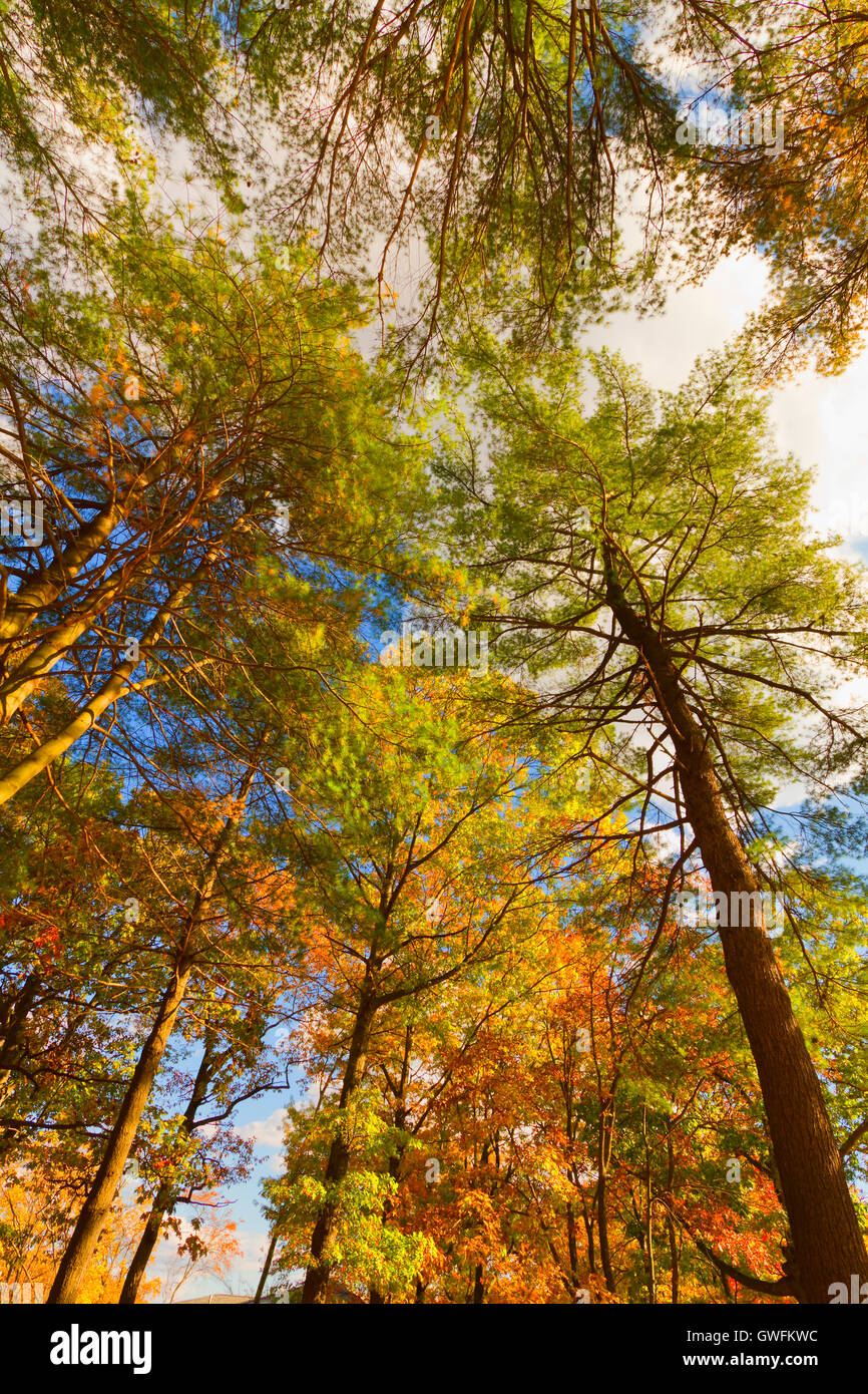 Colorful fall scenery landscapes Stock Photo - Alamy