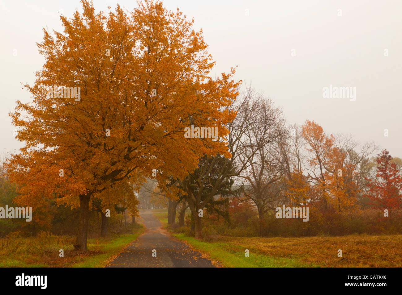 Colorful fall scenery landscapes Stock Photo - Alamy