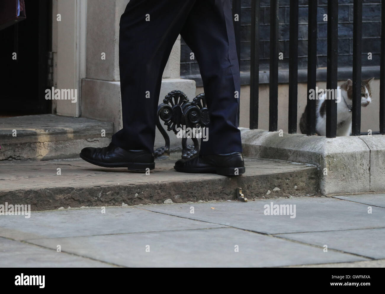 Michael Fallon Model Cheap Sale | innoem.eng.psu.ac.th