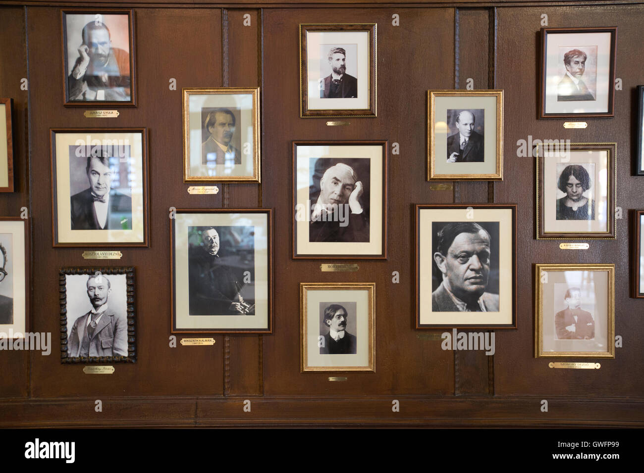 Karolyi High Resolution Stock Photography and Images - Alamy