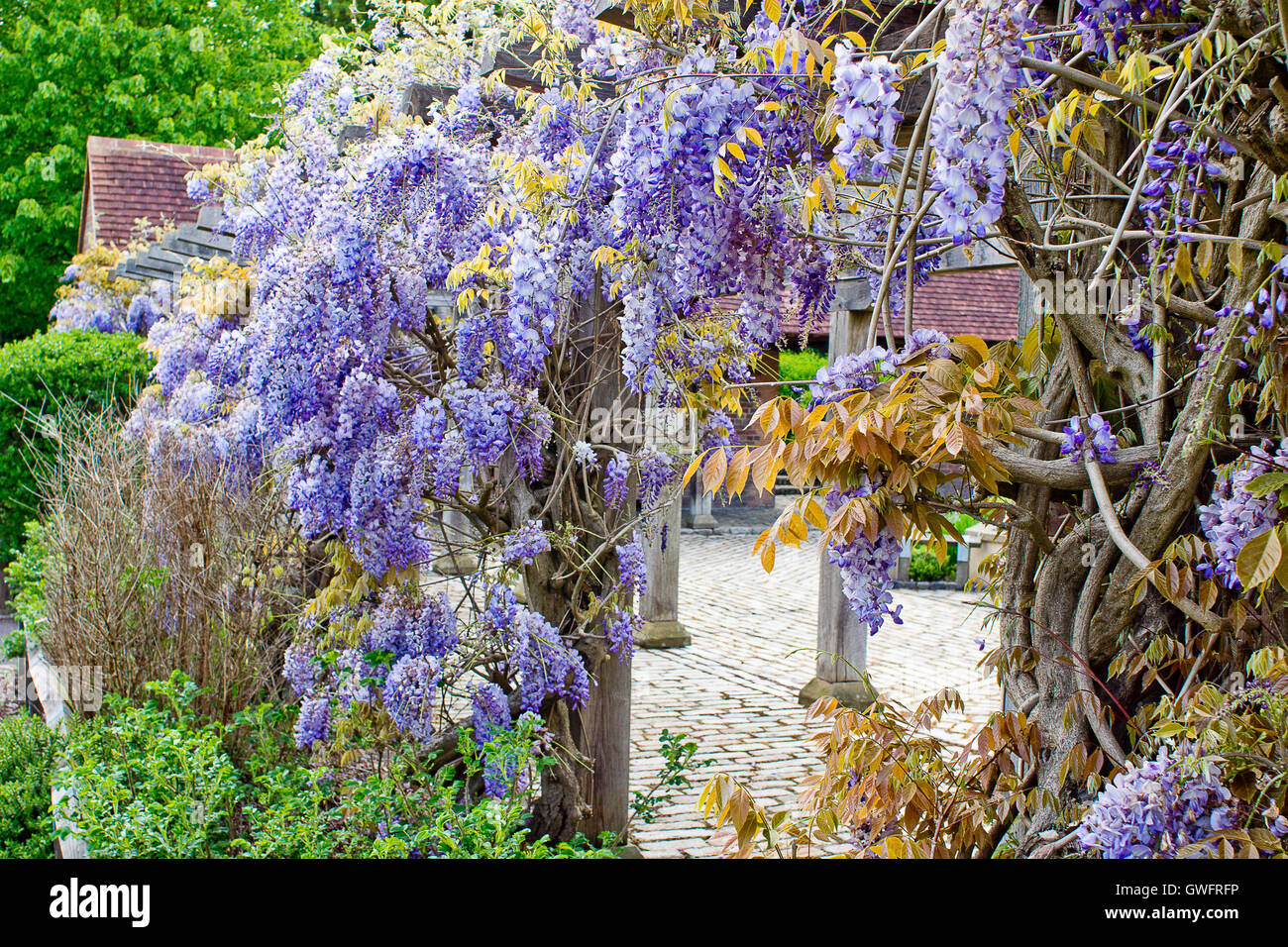 Borough of waverley hi-res stock photography and images - Alamy