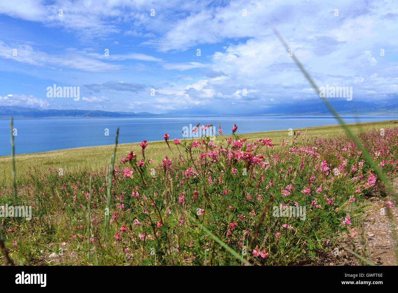 Bole xinjiang china hi-res stock photography and images - Alamy