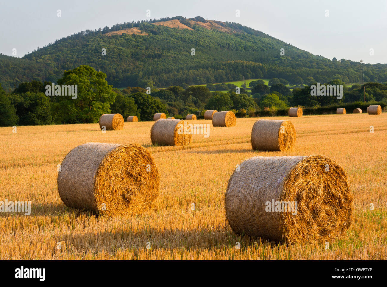 Leighton hill hi-res stock photography and images - Alamy