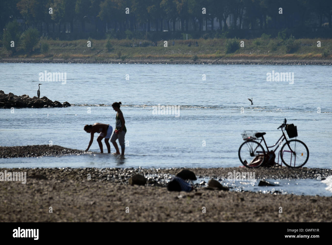Cologne, Germany. 13th Sep, 2016. People strolling along the river bank ...