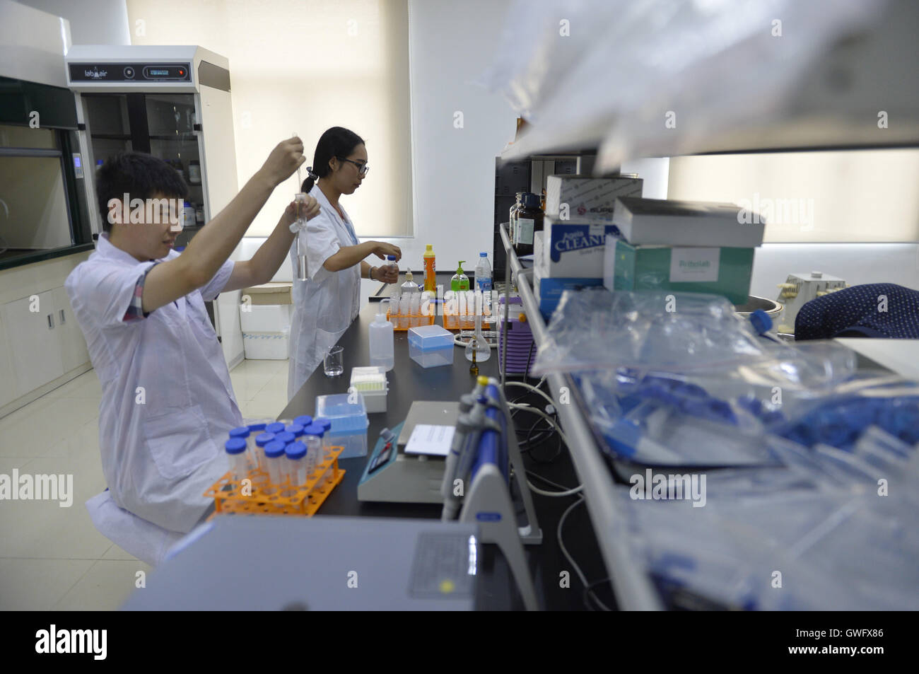 Nanning, China's Guangxi Zhuang Autonomous Region. 13th Sep, 2016. A ...