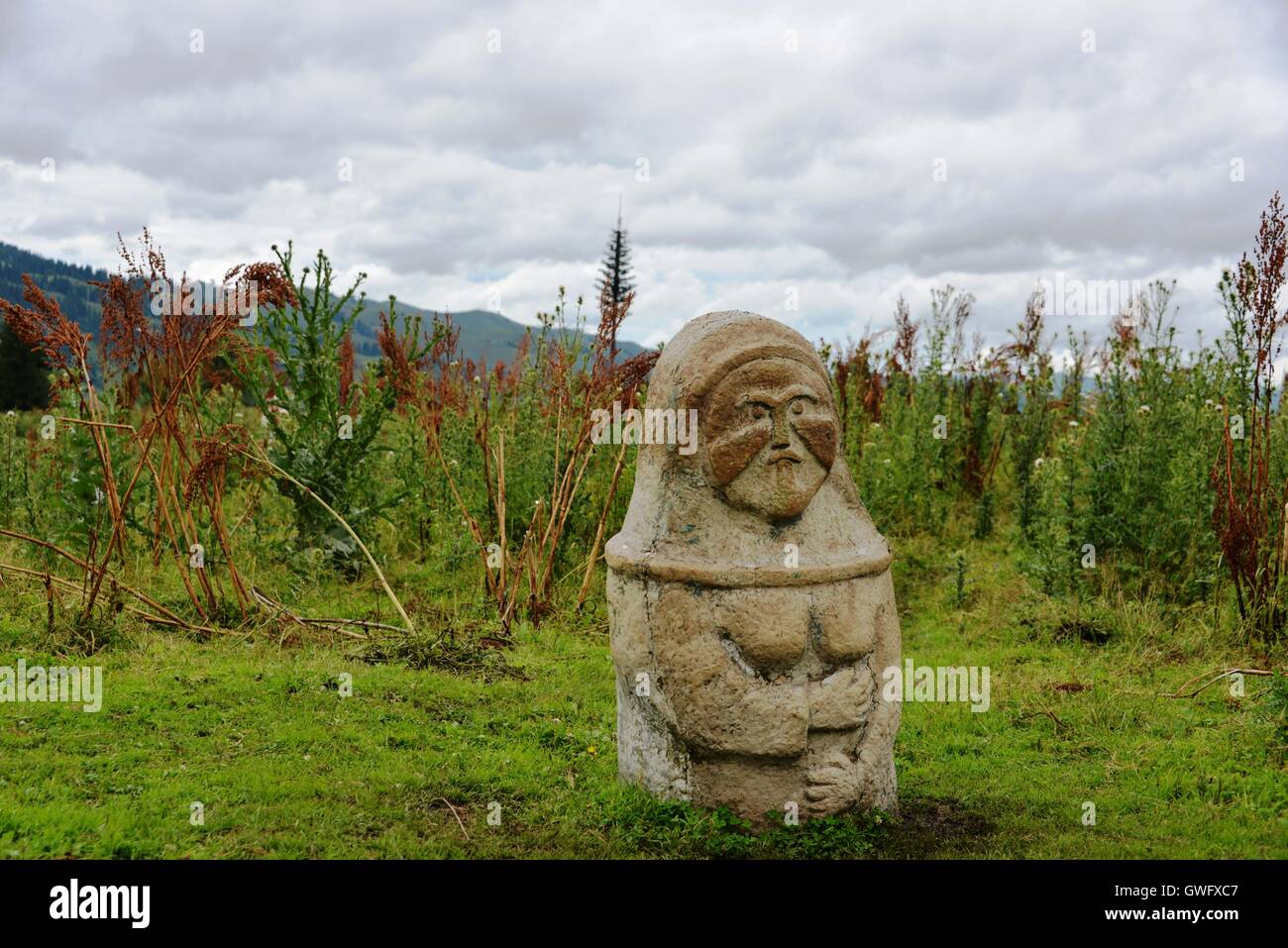 Tian shan fruit trees hi-res stock photography and images - Alamy