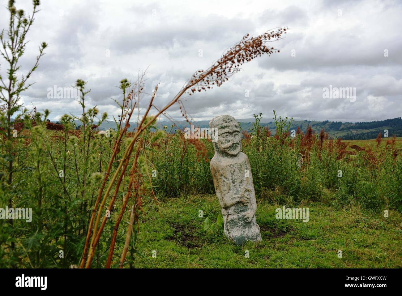 Tian shan fruit trees hi-res stock photography and images - Alamy