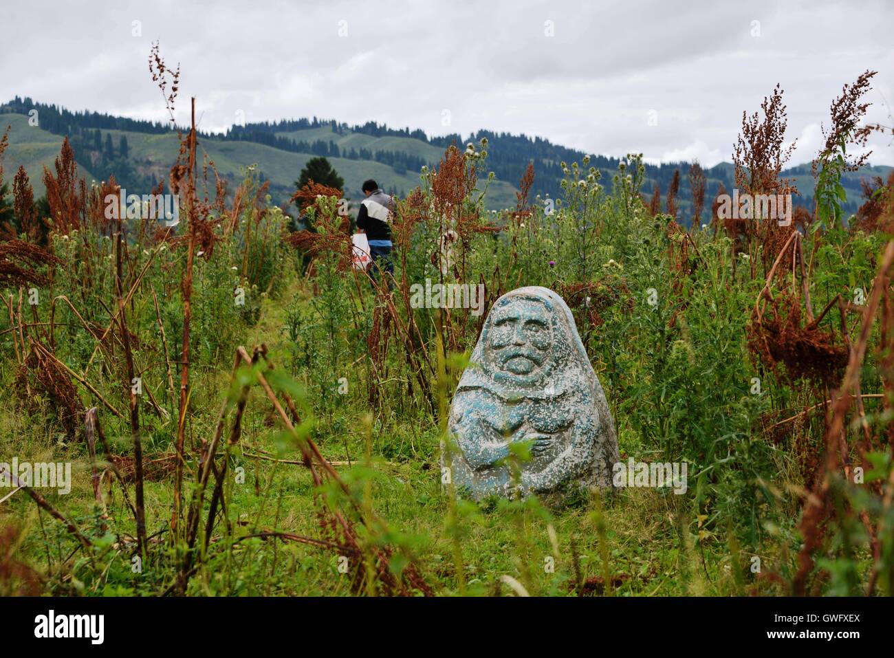 Tian shan fruit trees hi-res stock photography and images - Alamy