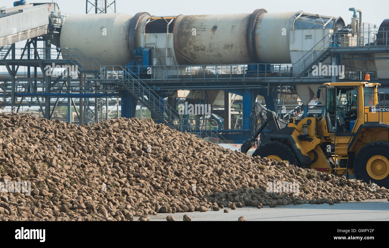 4 million today for hi-res stock photography and images - Alamy