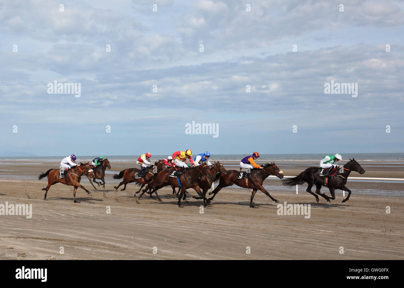 Laytown, Co. Meath, Ireland. 13th Sep, 2016. Meath, Ireland. Laytown ...