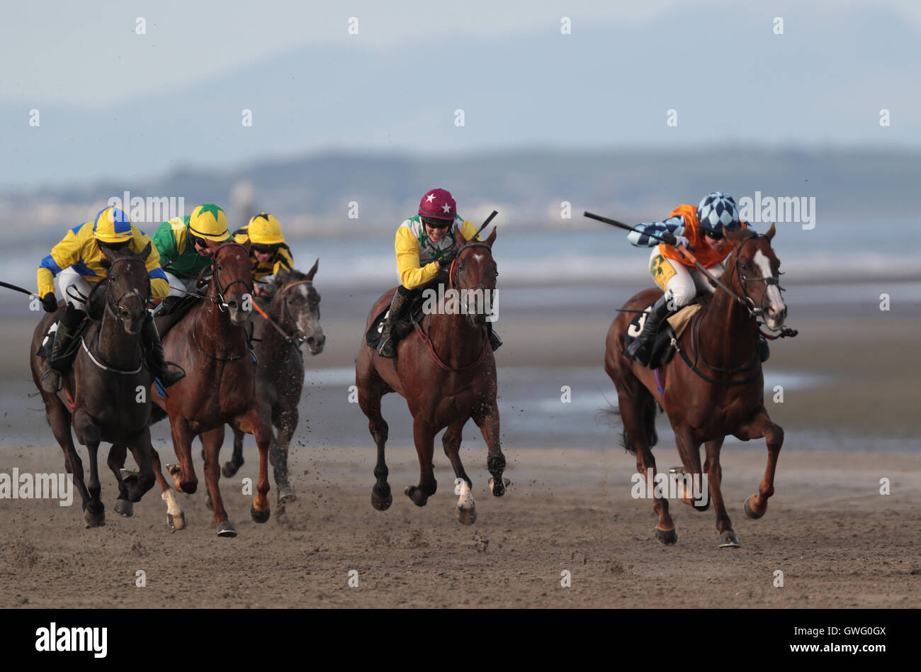 Laytown, Co. Meath, Ireland. 13th Sep, 2016. Meath, Ireland. Laytown ...