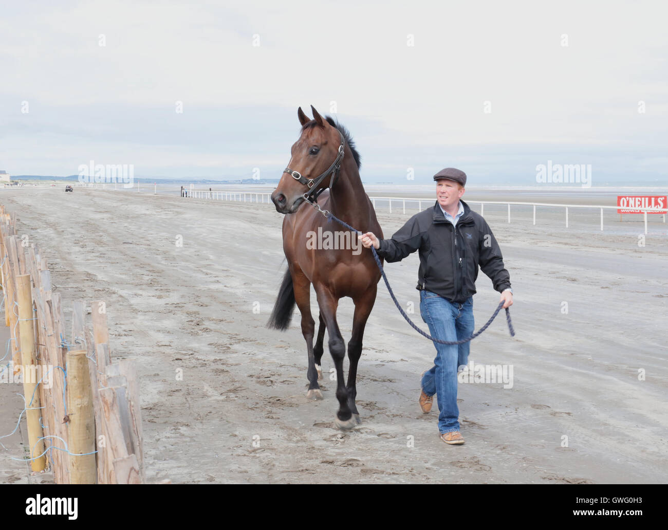 Laytown, Co. Meath, Ireland. 13th Sep, 2016. Meath, Ireland. Laytown ...