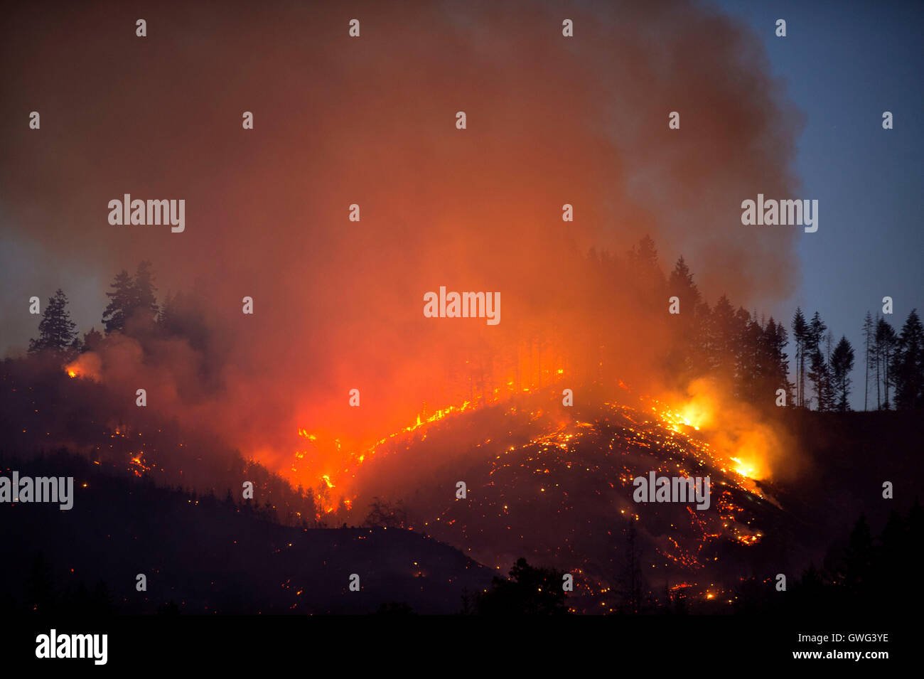 Elkton, Oregon, USA. 13th Sep, 2016. A wildfire burns on a forested ...