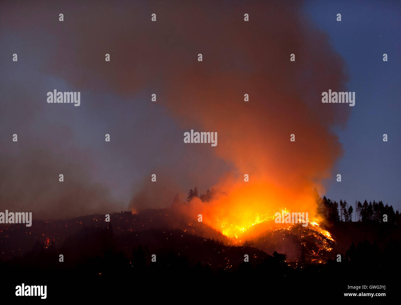 Elkton, Oregon, USA. 13th Sep, 2016. A wildfire burns on a forested ...