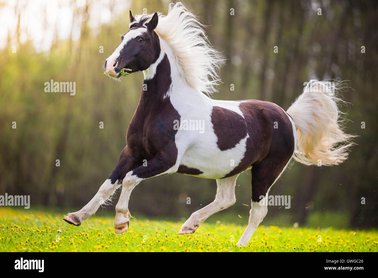 On x on hi-res stock photography and images - Alamy