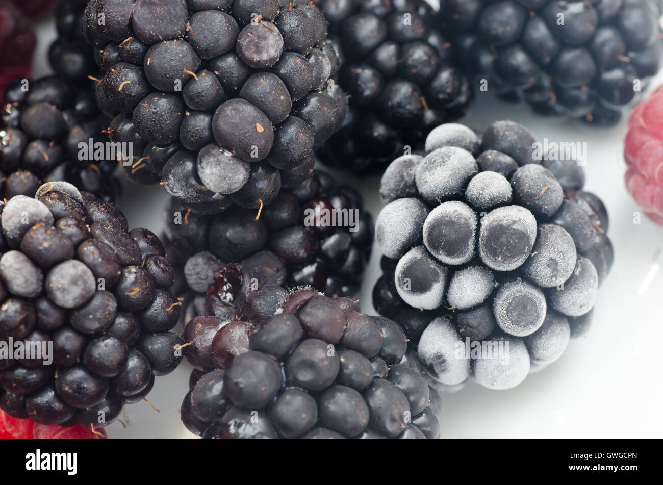 Frozen berries hi-res stock photography and images - Alamy