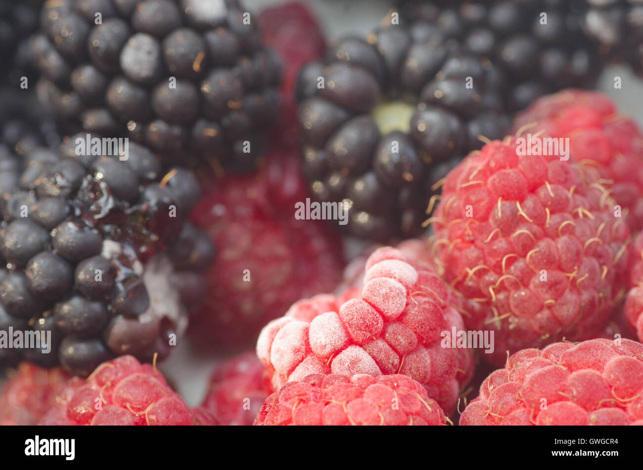 closeup to frosted frozen berries Stock Photo - Alamy