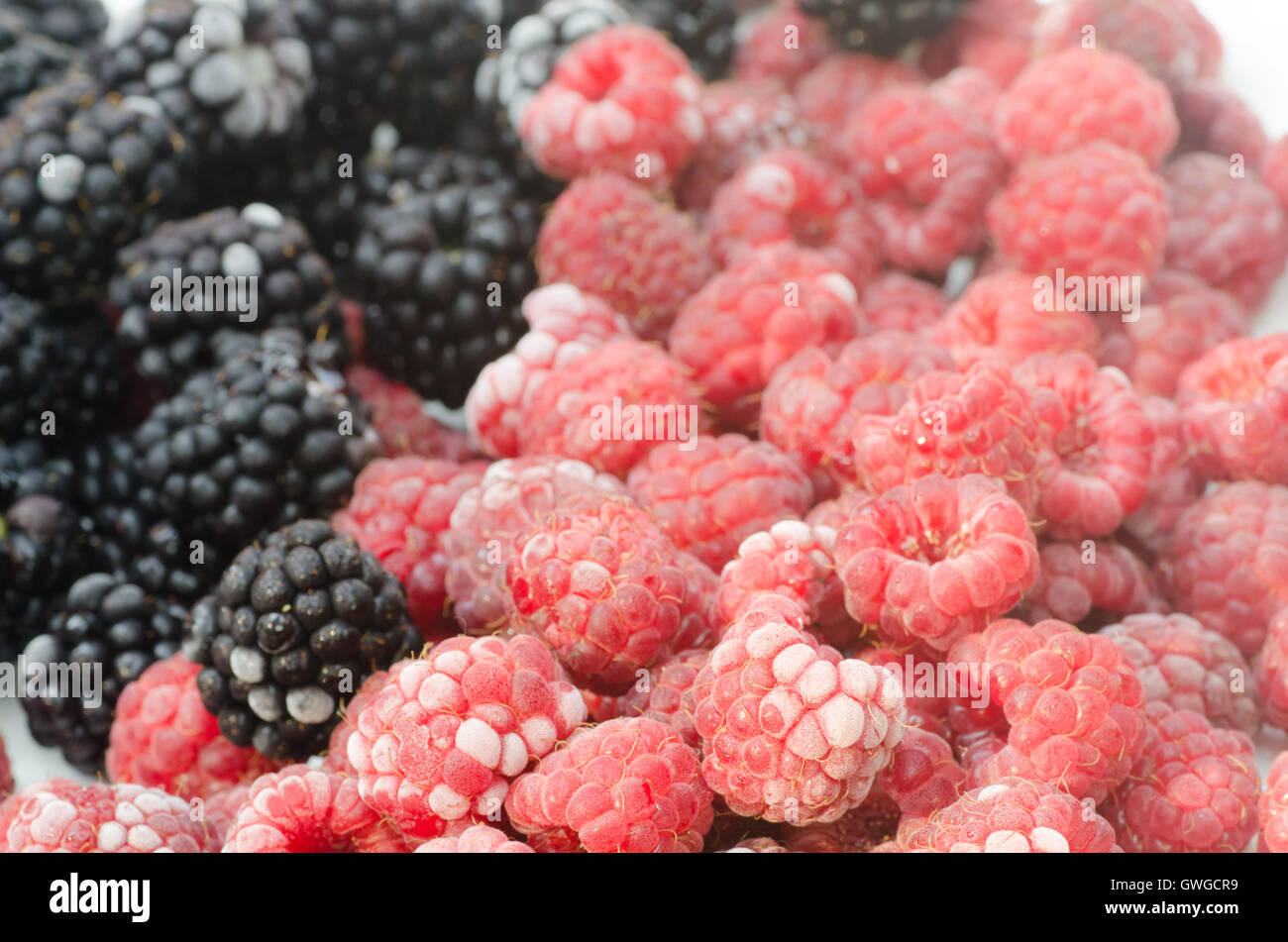 closeup to frosted frozen berries Stock Photo - Alamy