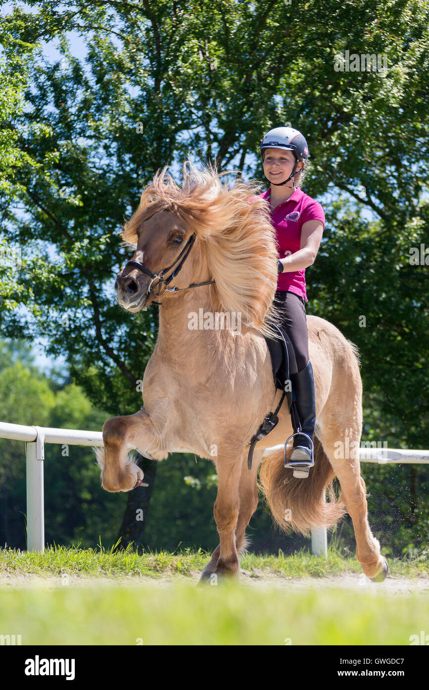 Ridden horse hi-res stock photography and images - Alamy