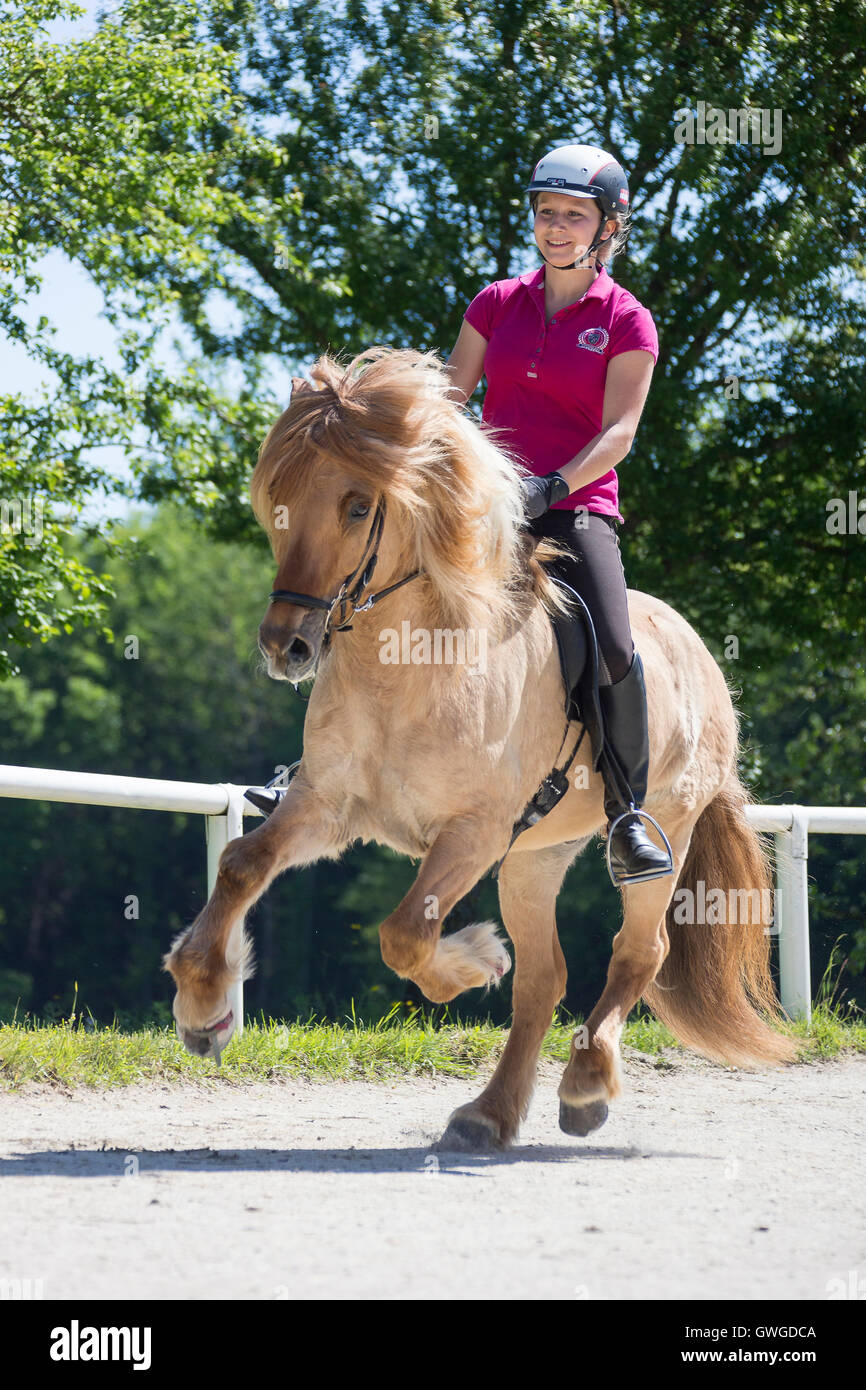 Ridden horse hi-res stock photography and images - Alamy