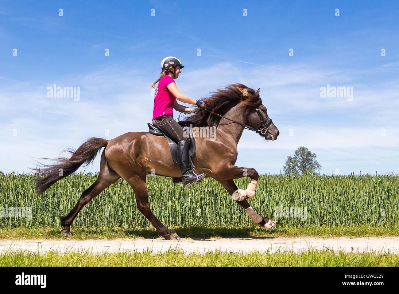 Ridden horse hi-res stock photography and images - Alamy
