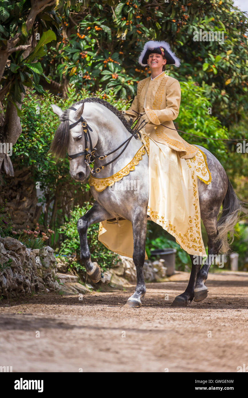 Lusitano. Gray stallion with rider in baroque costume performing a ...