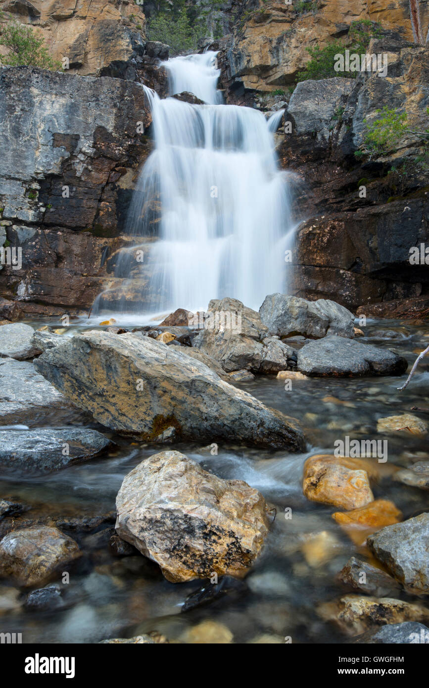 Tangle falls hi-res stock photography and images - Alamy