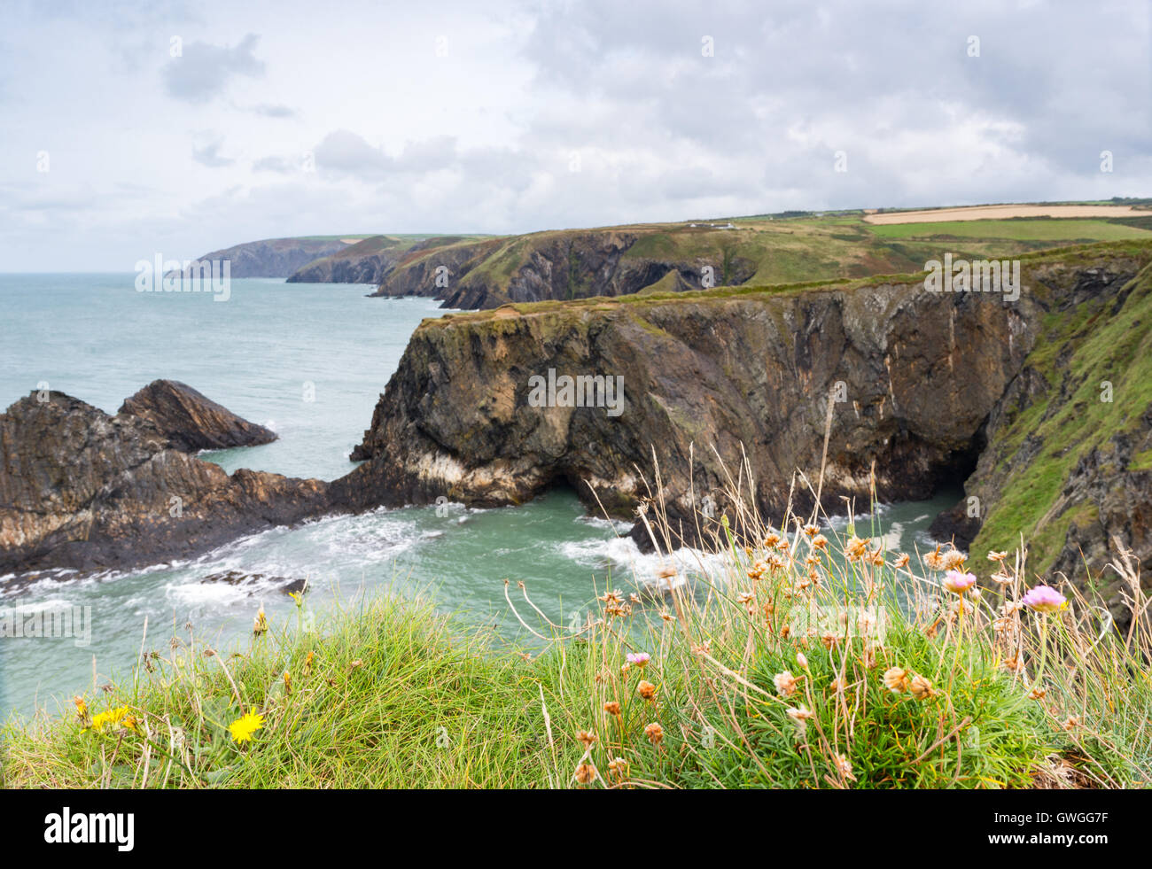 North Pembrokeshire coastal scenery near Ceibwr Bay and the Witches ...