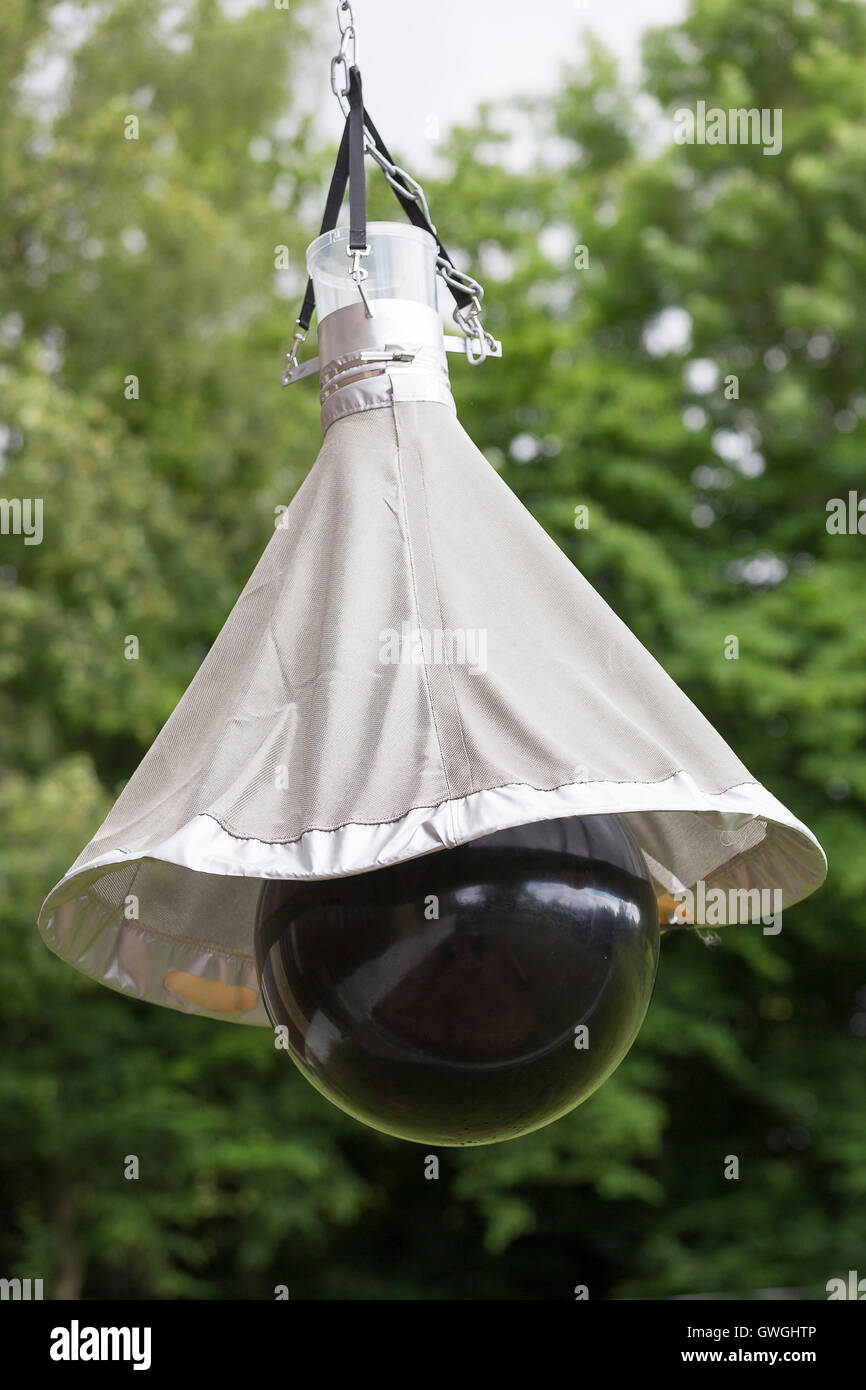 Horsefly trap on a horse pasture. Germany Stock Photo - Alamy
