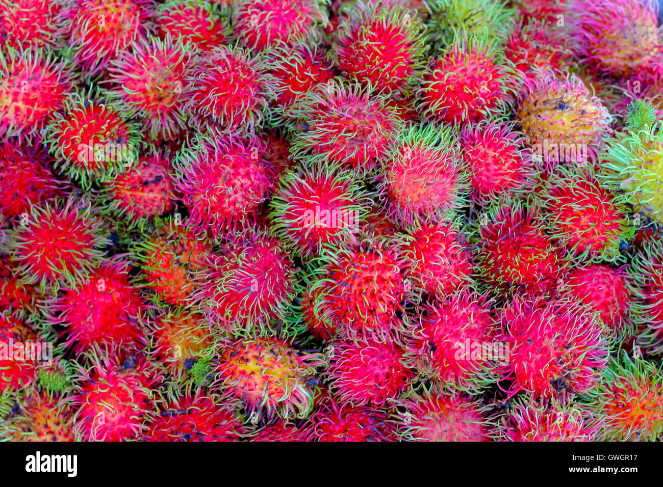 Rambutan background hi-res stock photography and images - Alamy