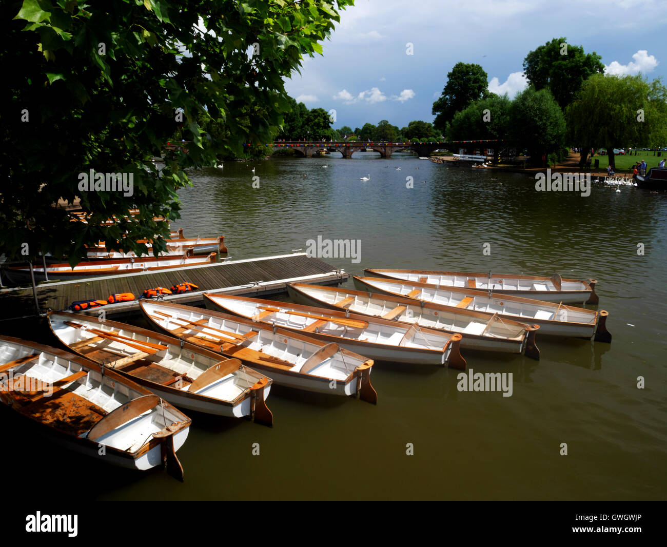 A line of traditional wooden rowing boats moored on a tree-lined river ...