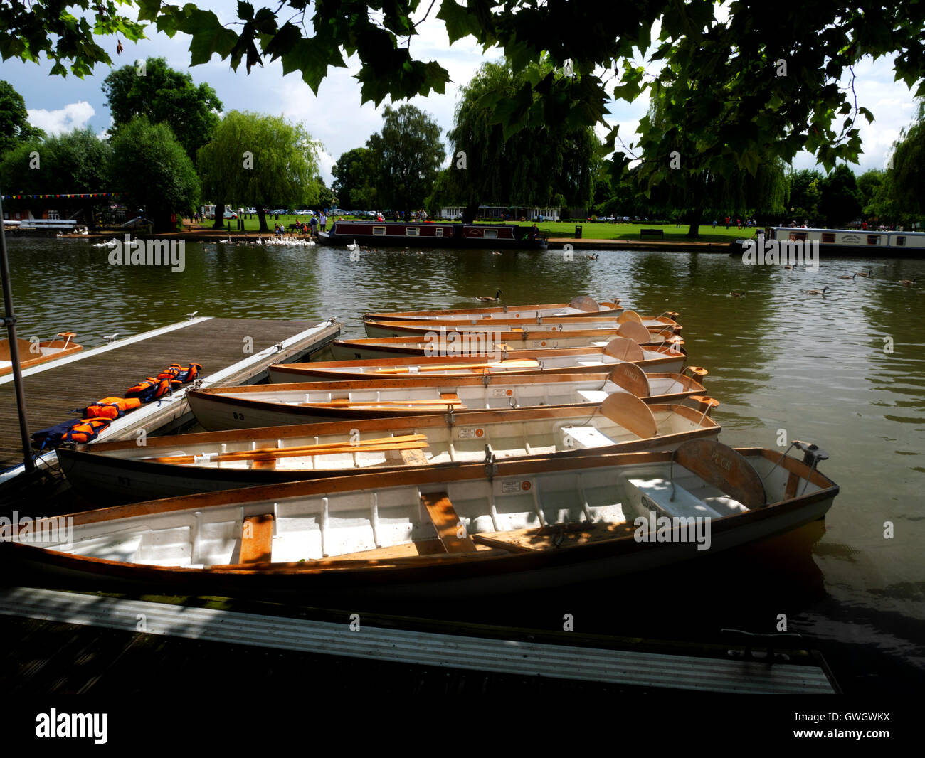 A line of traditional wooden rowing boats moored on a tree-lined river ...