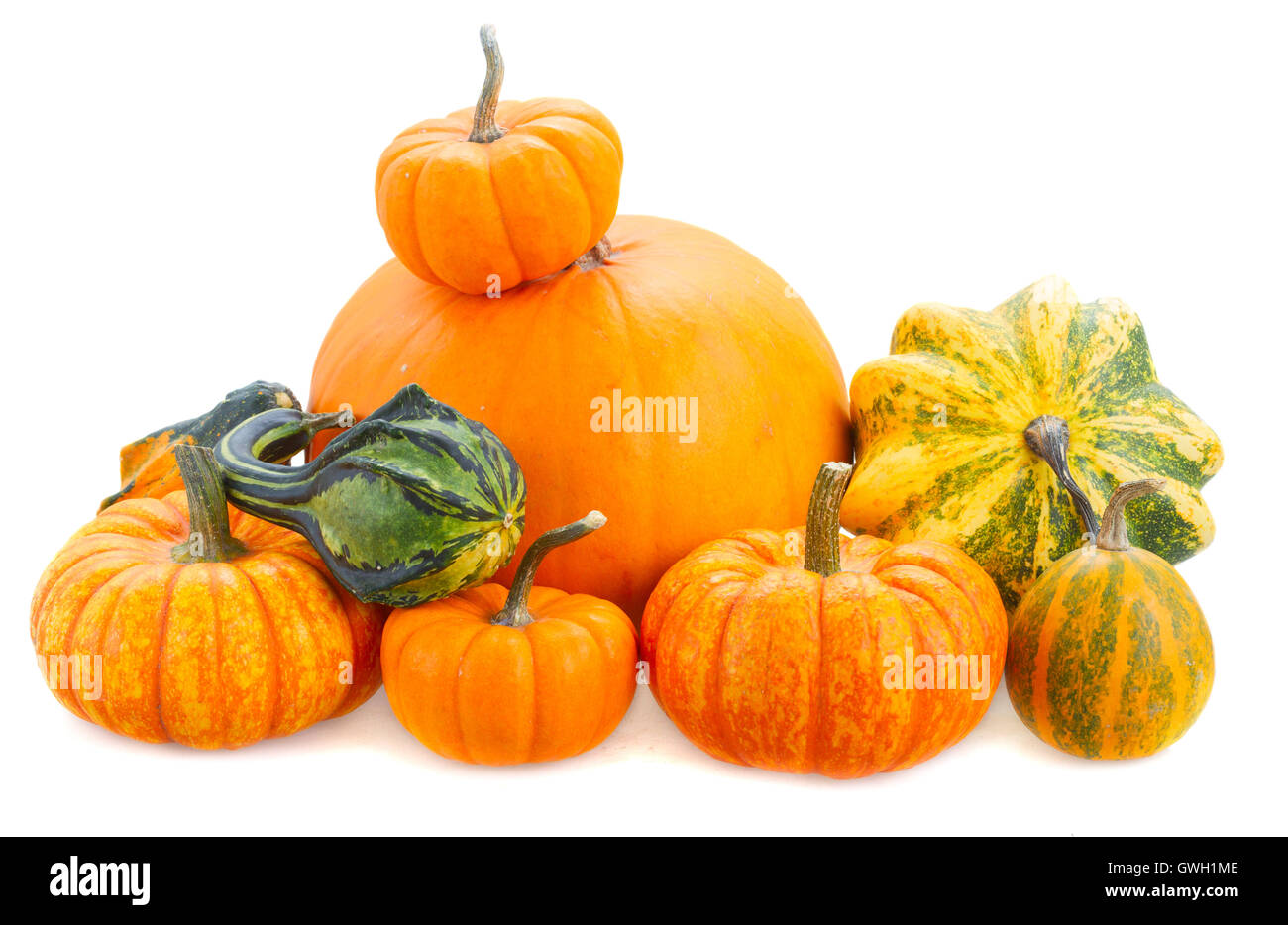 Pile of pumpkins Stock Photo - Alamy