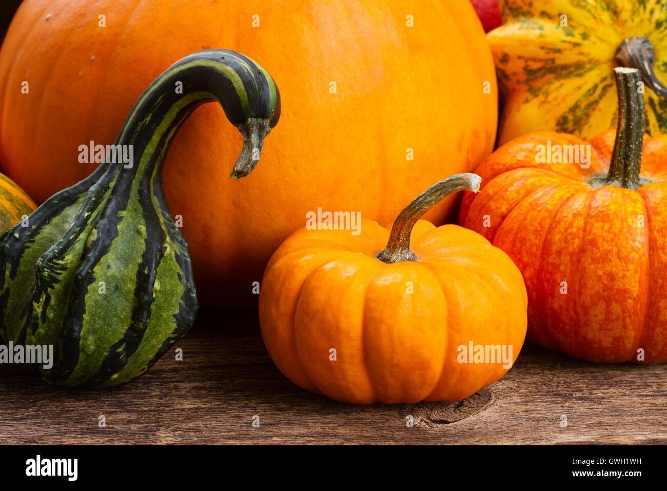 pumpkin on table Stock Photo - Alamy