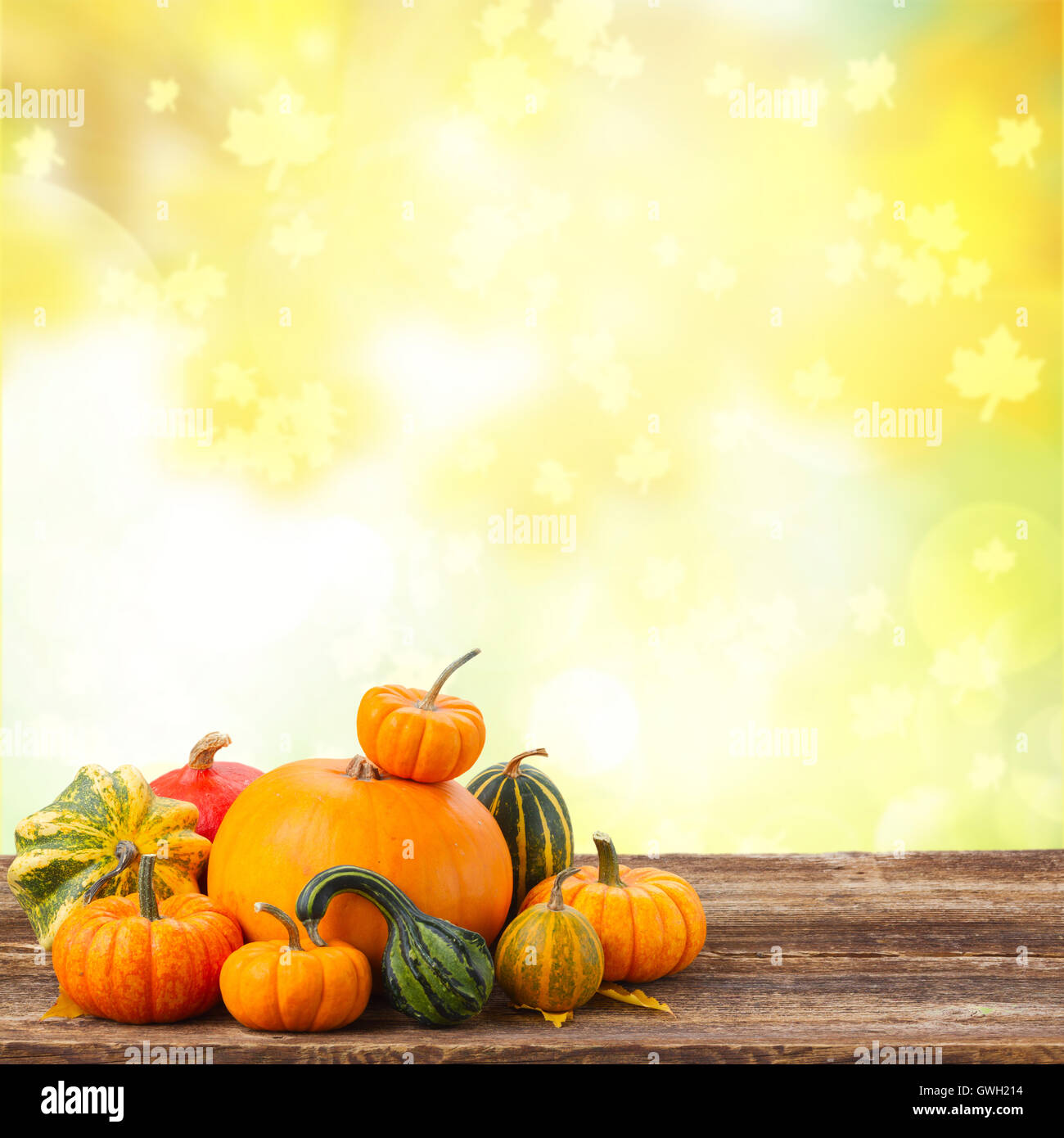 pumpkin on table Stock Photo - Alamy