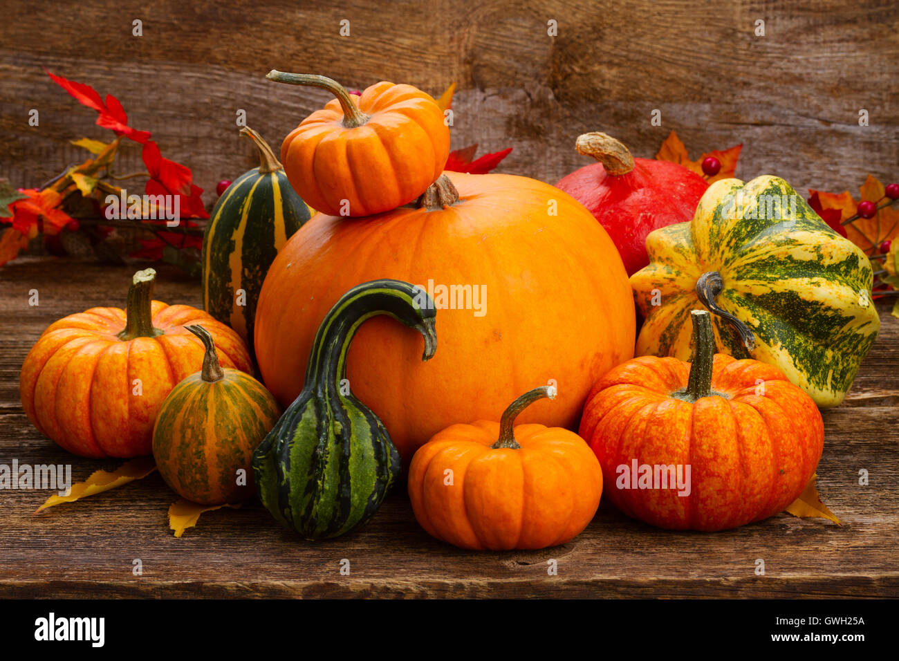 pumpkin on table Stock Photo - Alamy