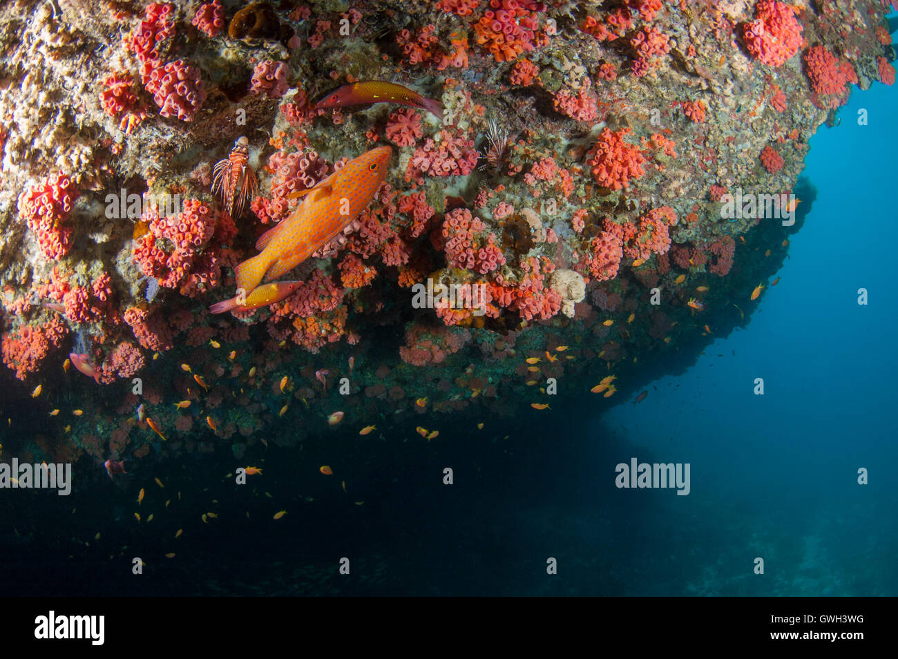 Large overhang hi-res stock photography and images - Alamy