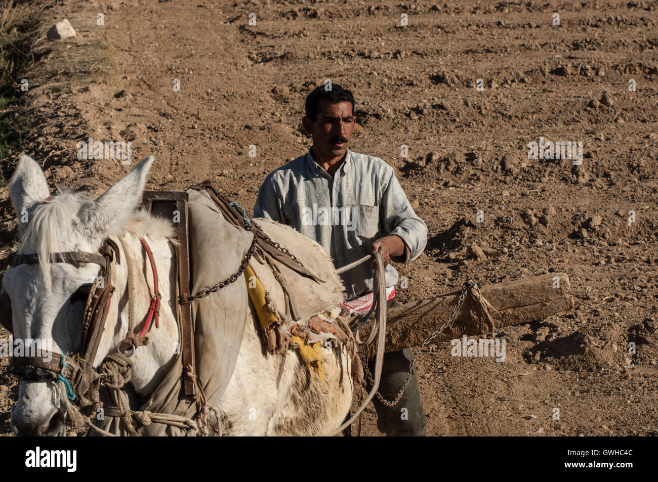 Syrian Farm Workers Struggle Against Drought and Climate Change Stock ...