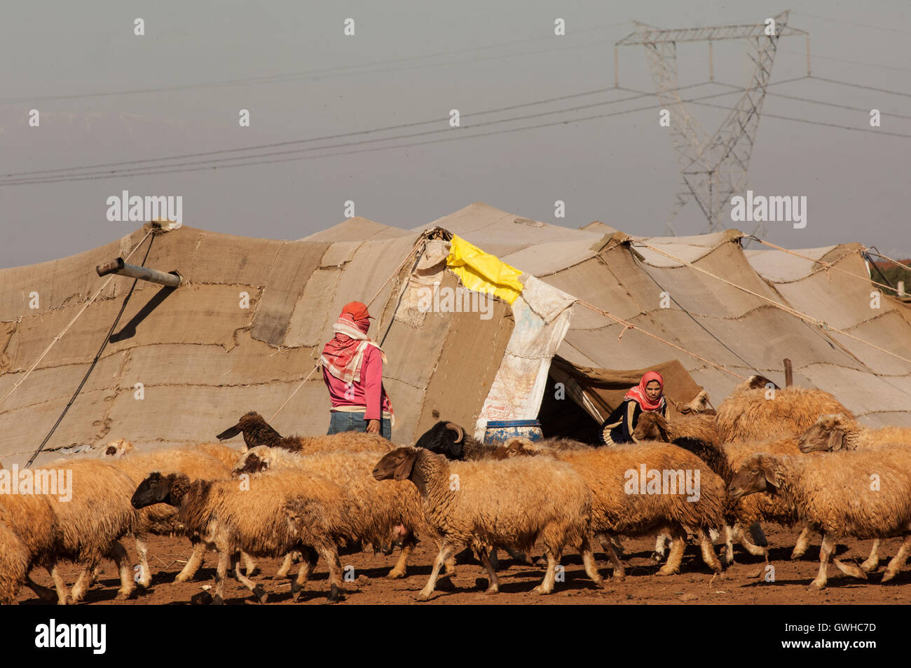 Syrian Farm Workers Struggle Against Drought and Climate Change Stock ...