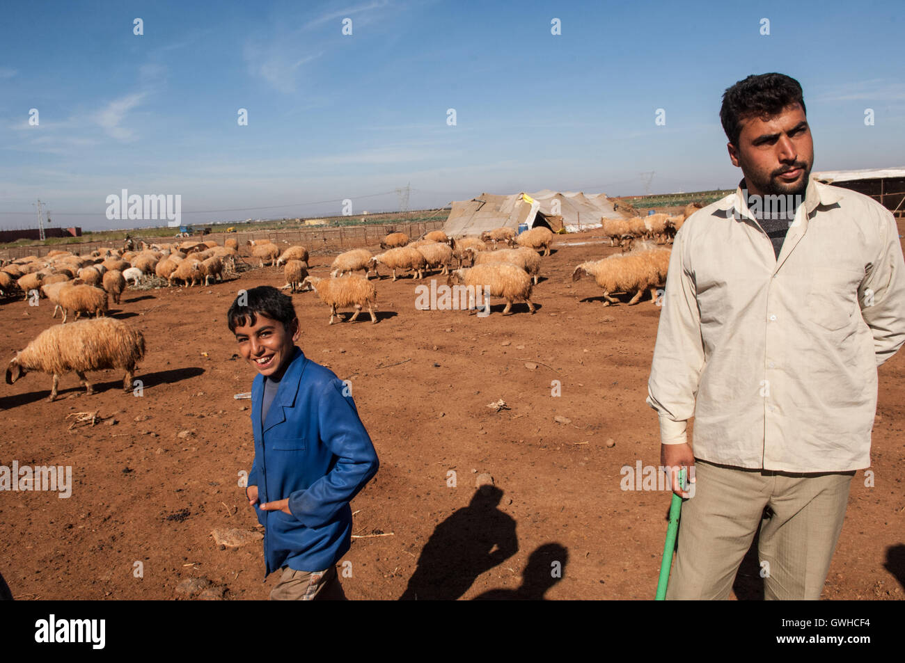 Syria desert farm farmer hi-res stock photography and images - Alamy