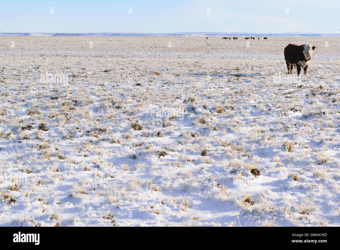 Winter ice around farm hi-res stock photography and images - Alamy
