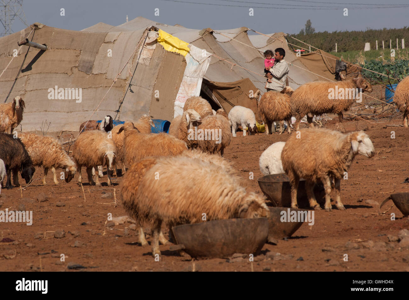 Southern syria hi-res stock photography and images - Alamy