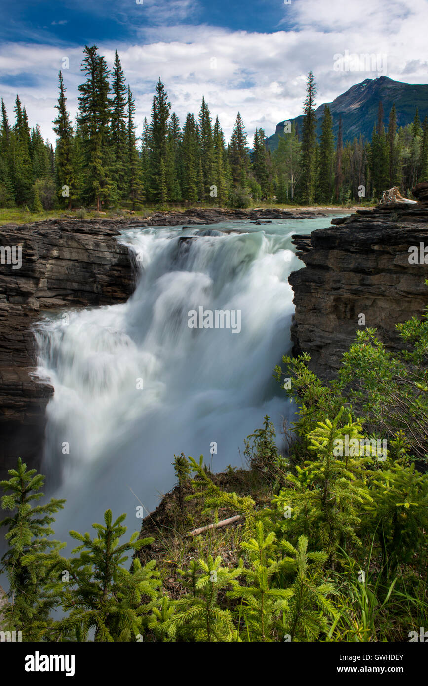 Athabasca Falls, Jasper National Park, Alberta, Canada Stock Photo - Alamy